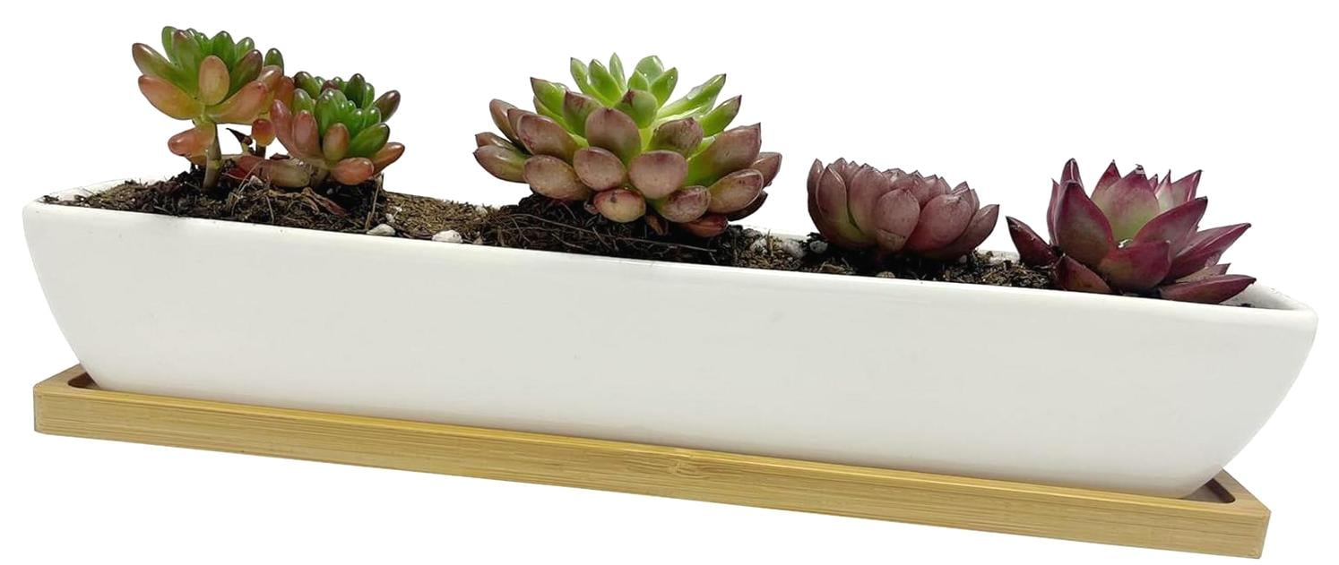 Hidove Kipokalor White Rectangular Extended Succulent Planter, 11.1x2 ...