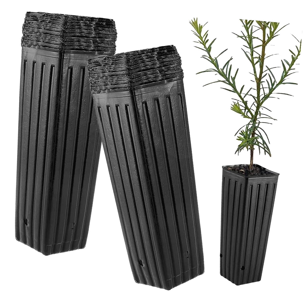 Hidove Tall Deep Tree Pot, 50 Pieces Plastic Plant Seedling Containers ...