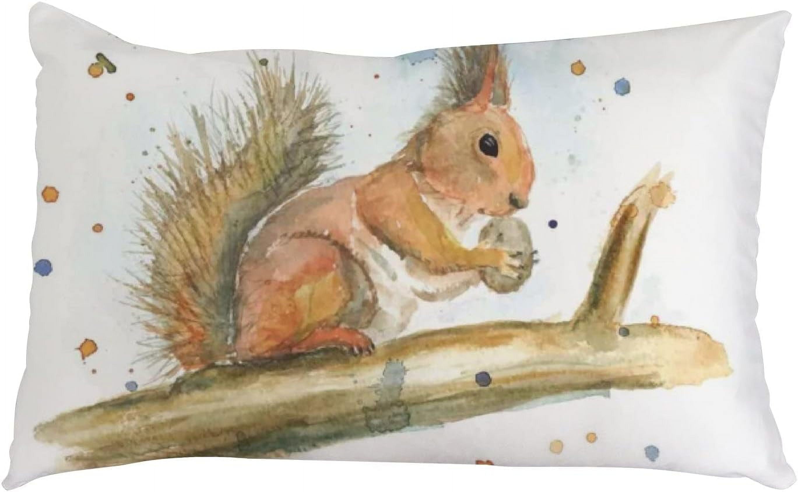 Hidove Watercolor Squirrel Velvet Zippered Oblong Lumbar Plush Throw ...