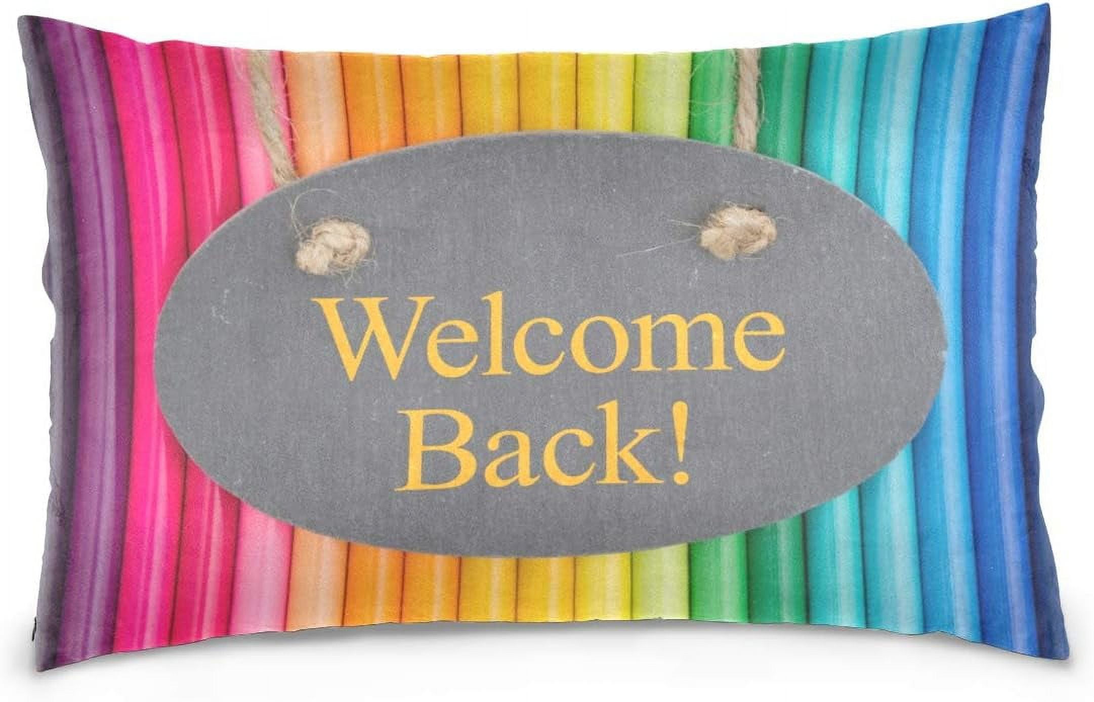 Hidove Welcome Back Rainbow Velvet Oblong Lumbar Plush Throw Pillow ...