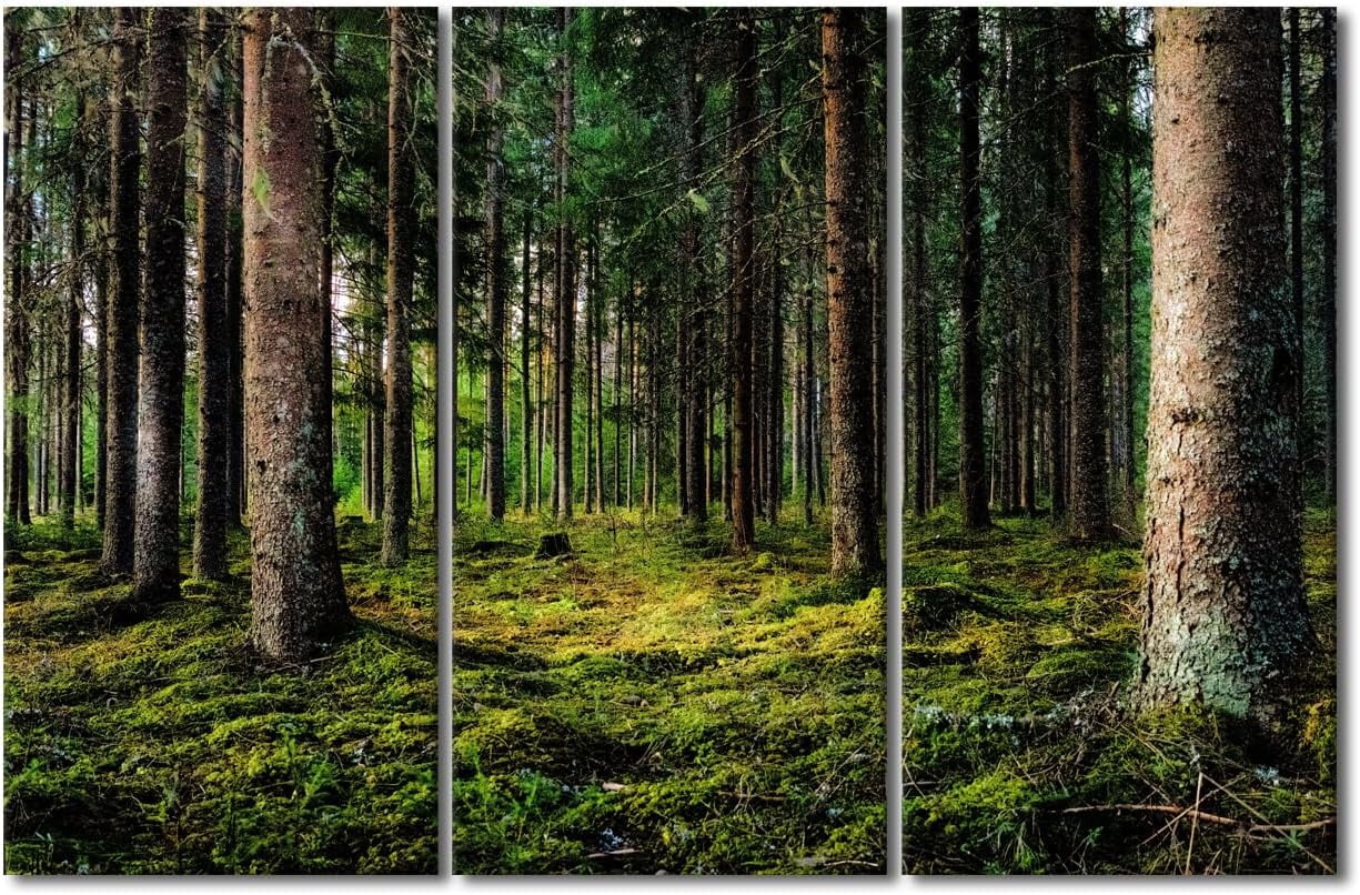 Hieng 3 Panel Wall Art for Bathroom, Nepal Subtropical Forest for ...