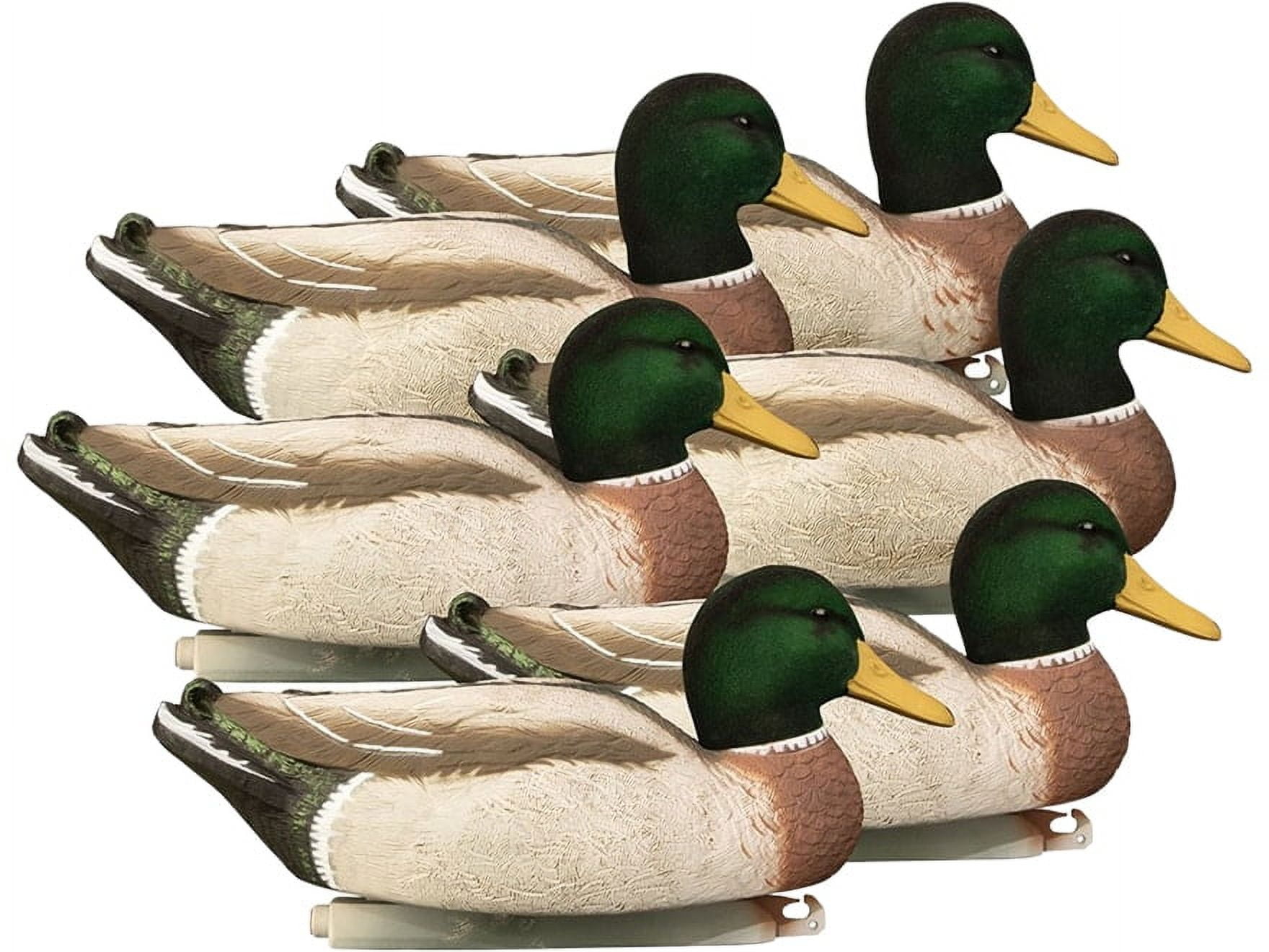 Higdon Magnum Foam Filled Flocked Head All Drakes Mallard Duck Decoy ...