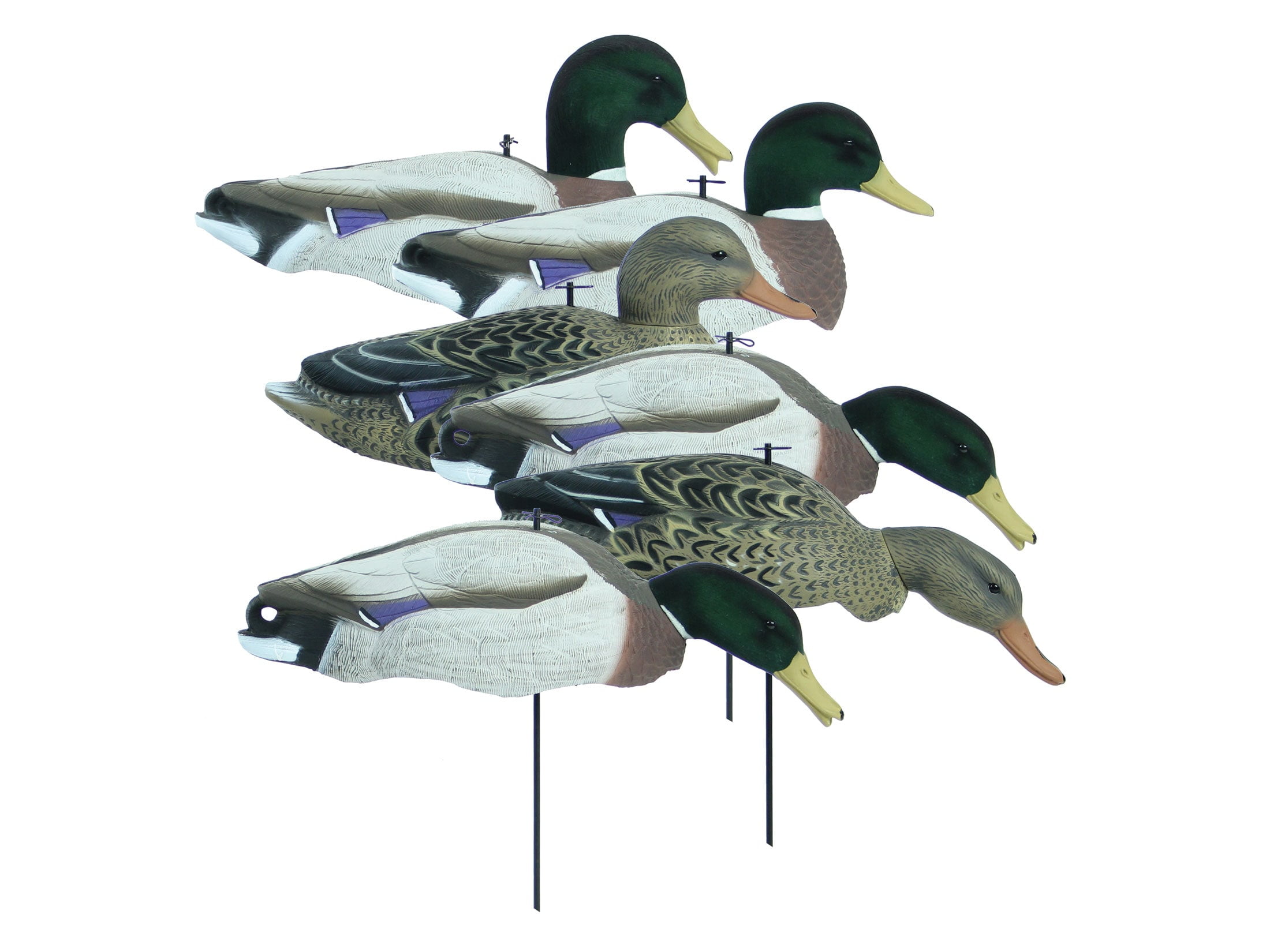 Higdon Magnum Full Form Flocked Head Mallard Shell Duck Decoy Polymer ...
