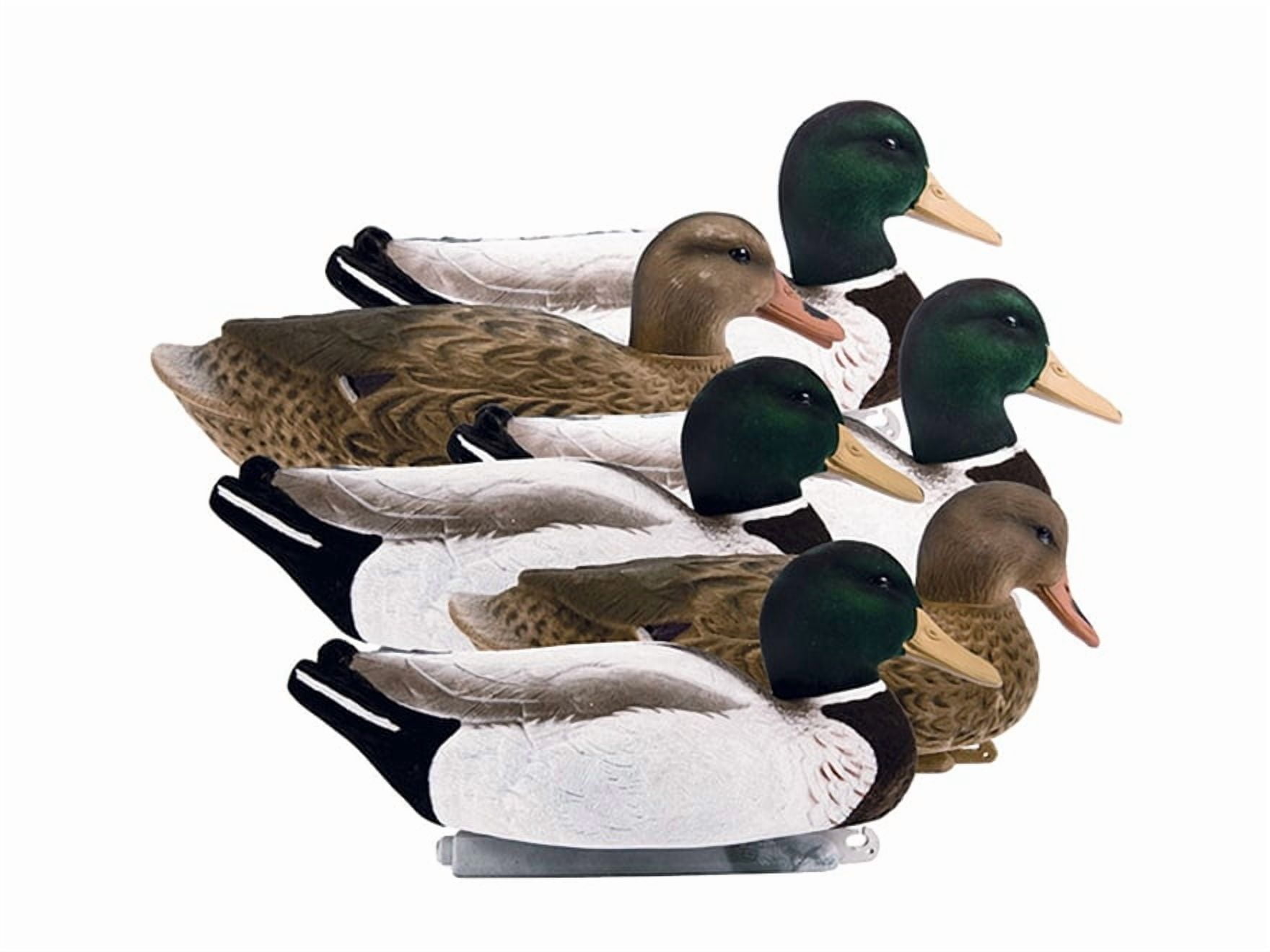 Higdon Magnum Mallard Fully Flocked Foam Filled Duck Decoy 6PK ...