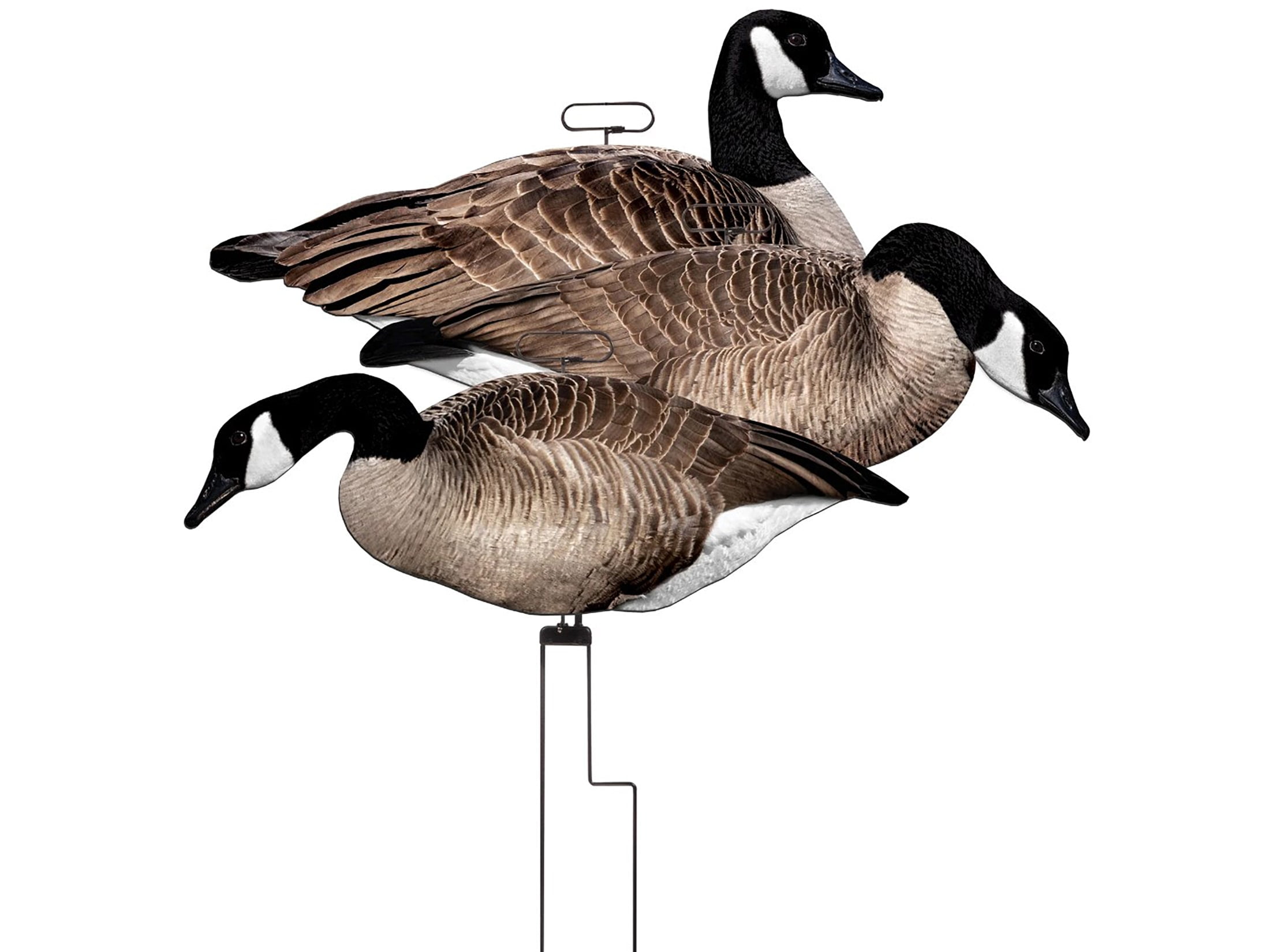 Higdon FLATS Motion Silhouette Magnum Canada Goose Decoys 12PK ...