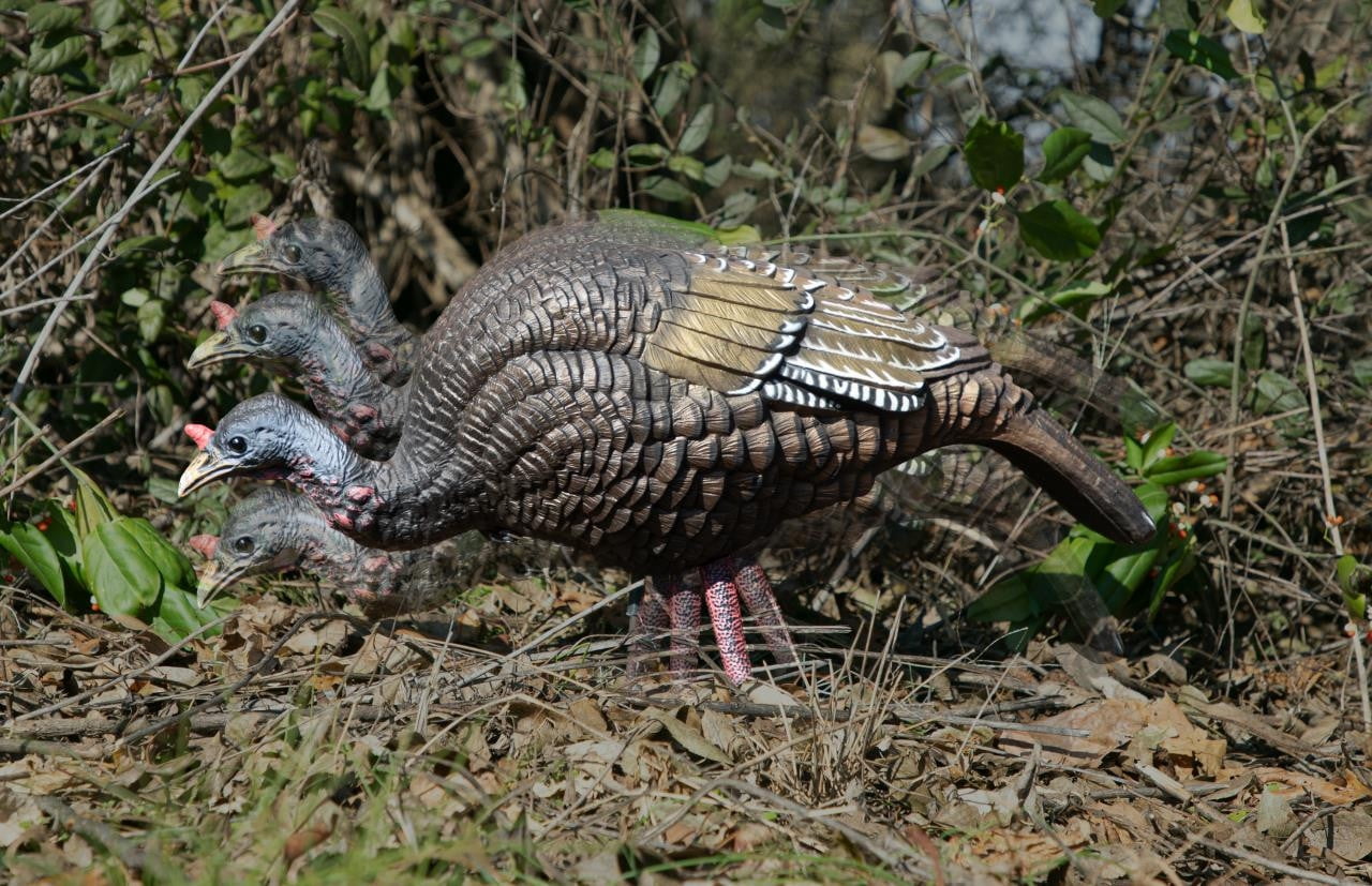 Higdon Outdoors XS TruFeeder Turkey Hen Motion Decoy, Multi-Color, Li ...