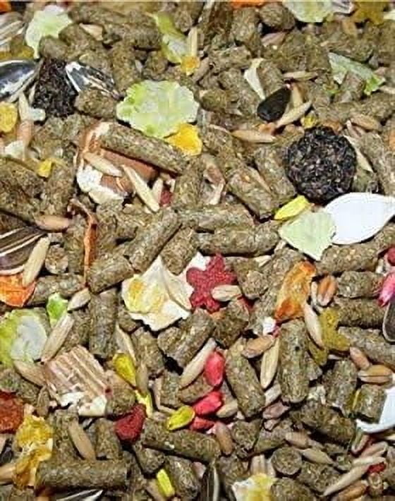 Higgins 466573 Higg Sunburst Guinea Pig Food, 25-Pound - Walmart.com