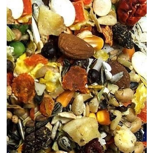 Higgins Mayan Harvest Tikal Blend Large Hookbill Bird Food, 3 Lb ...