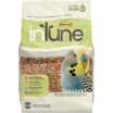 Higgins Vita Seed Parakeet Bird Food, 5 Lb - Walmart.com
