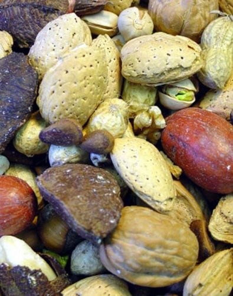 Higgins Snack Attack Boca Nuts Large Hookbill Bird Treat, 20 Lb ...