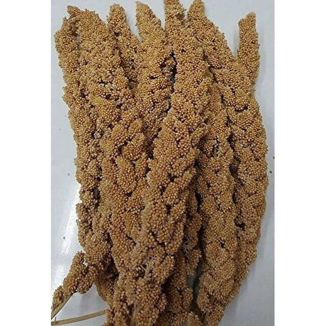 Higgins Spray Millet, 1.9 Lb, 12 Ct - Walmart.com