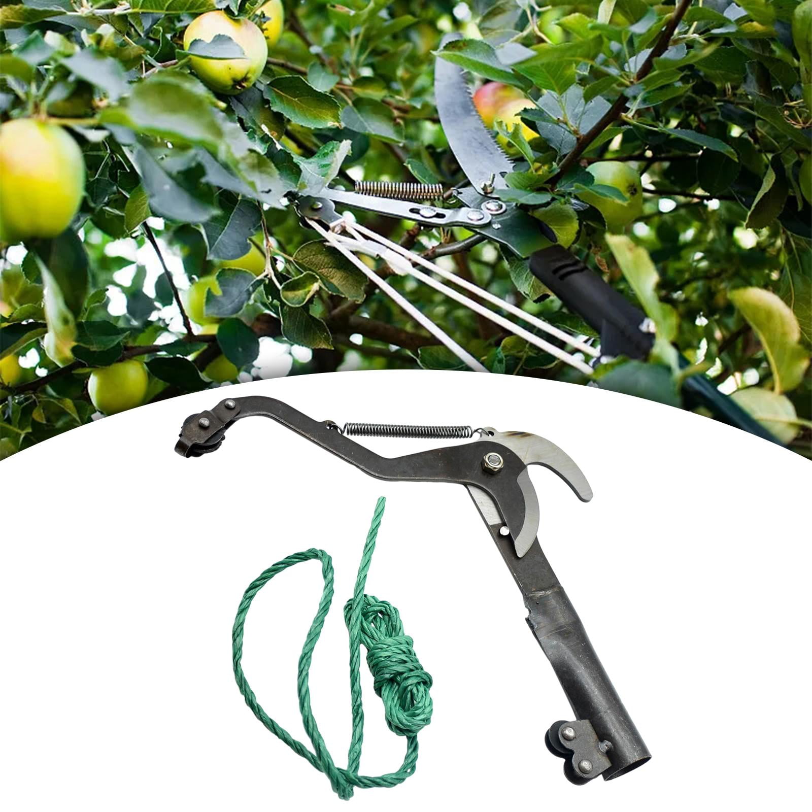 High Altitude Pruning Shear with Rope Pulley Garden Tools Branch ...
