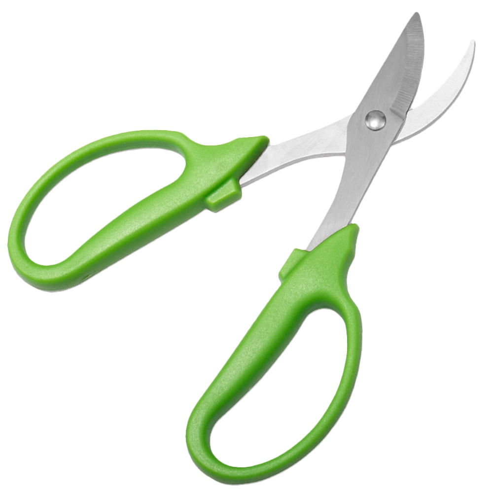 High Branch Scissors Quail Plucker Shears Hand Tools Pruners Miss ...
