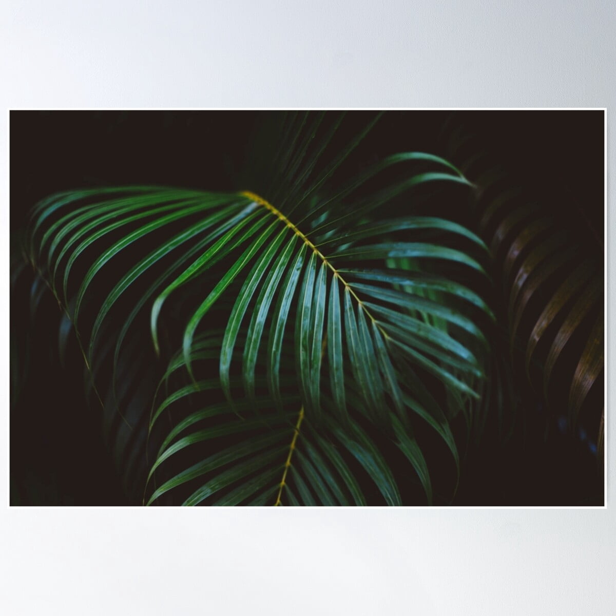High Class Jungle - Dark Fauna Poster Wall Art, Modern Wall Decor For ...