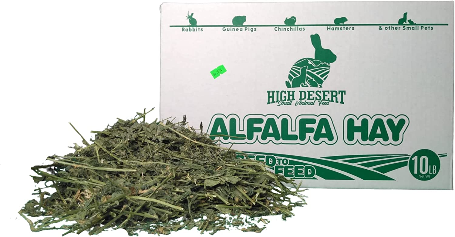 High Desert Alfalfa Hay - Dried Natural Alfalfa Hay for Rabbits, Guinea ...