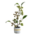 High-End Artificial Fruit Bonsai Flower Arrangements Indoor Home ...