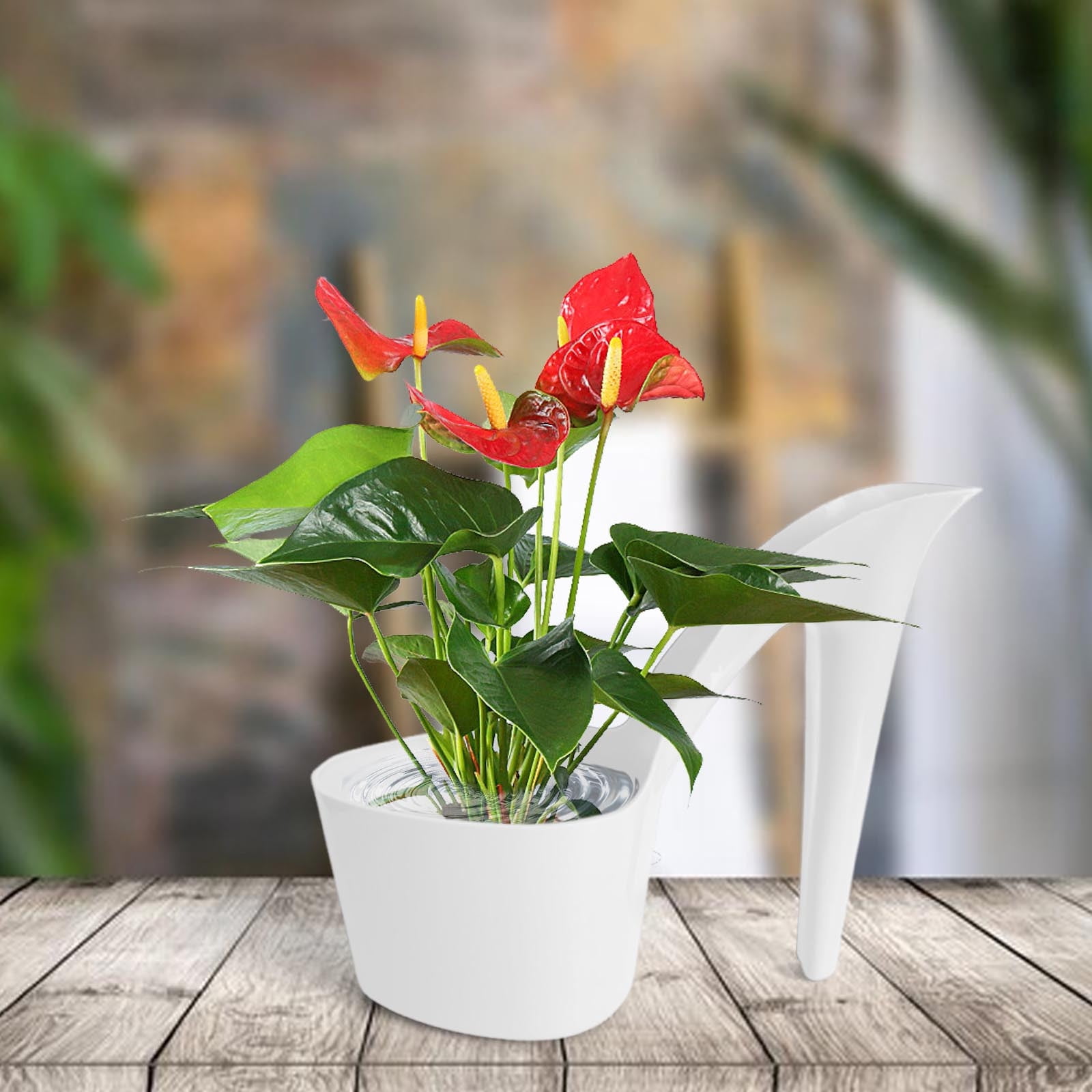 High Heel Flower Pot, Desktop Planter with Stand, Polypropylene, Indoor ...
