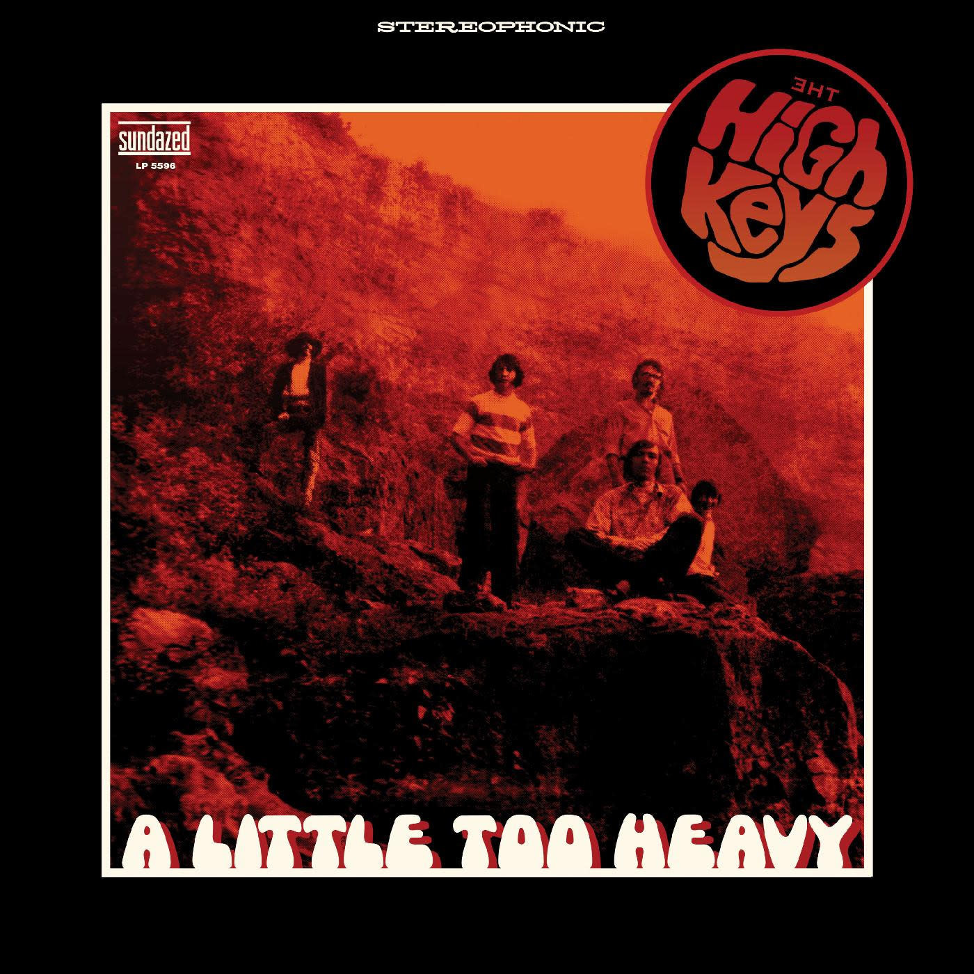 High Keys - A Little Too Heavy - Music & Performance - Vinyl - Walmart.com