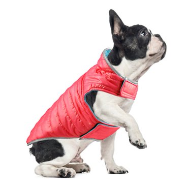 Gooby Puffer Vest Dog Jacket - Blue, Large - Ultra Thin Zip Up Wind ...