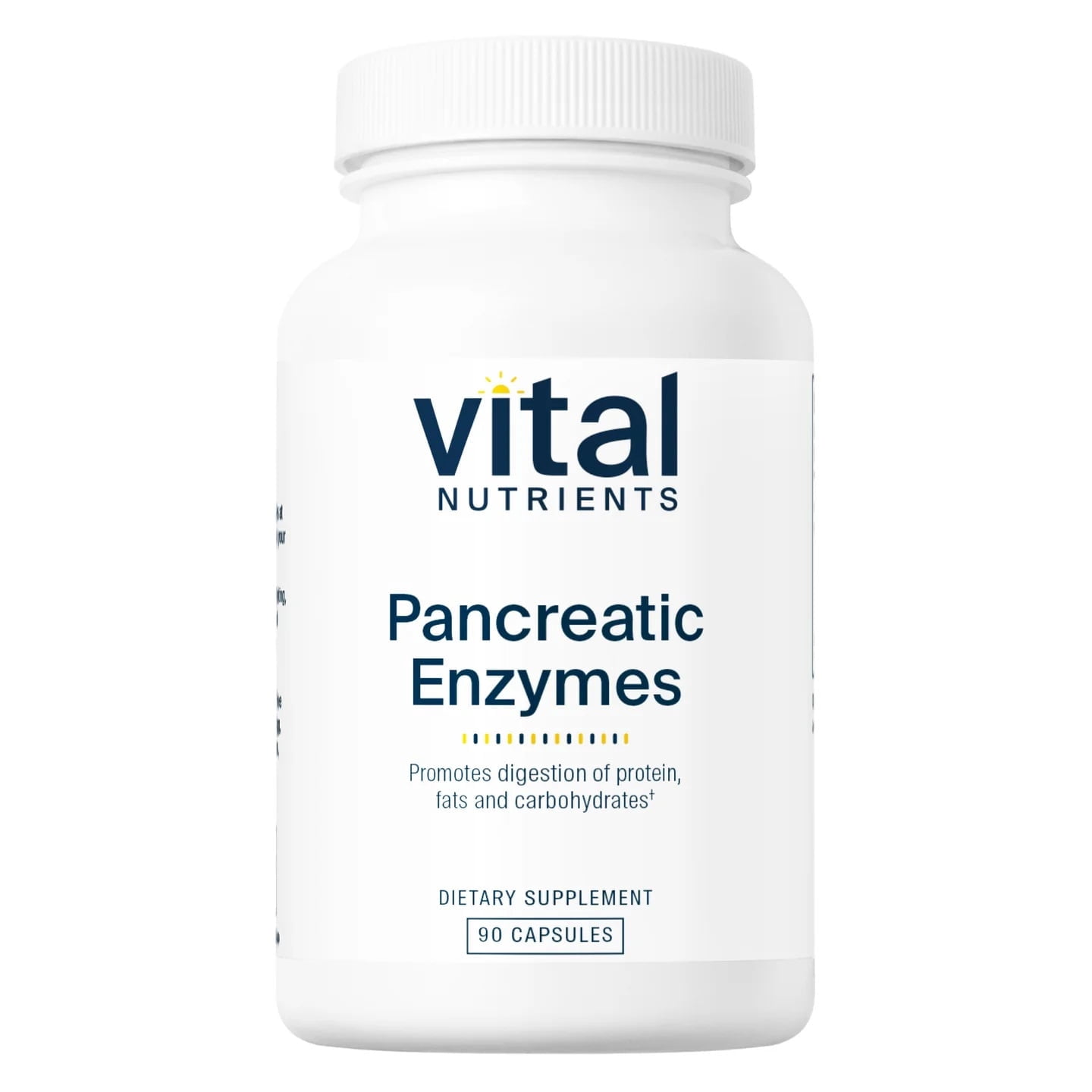 High Potency Digestive Enzyme Supplement – Supports Digestion ...
