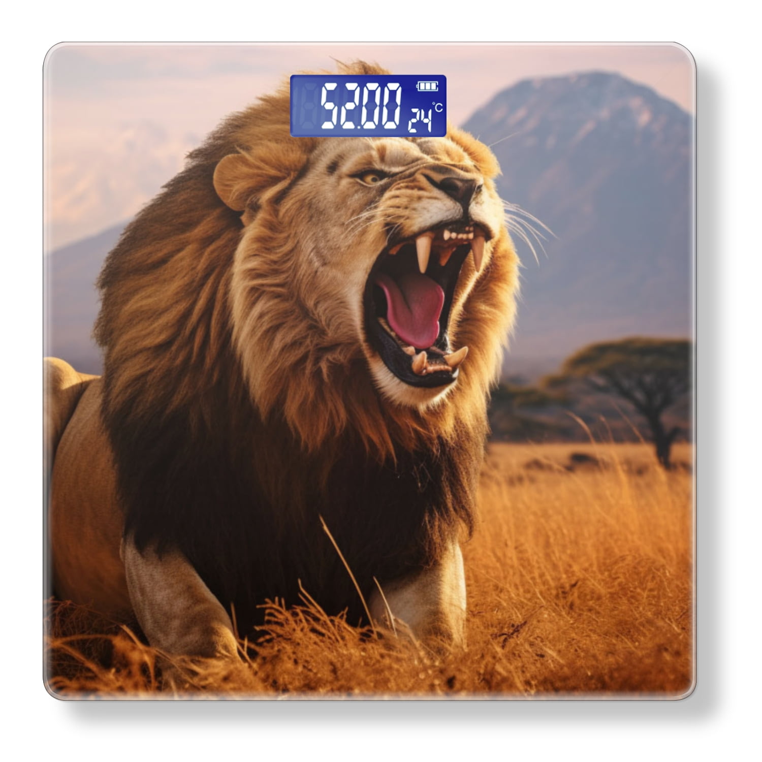 Bathroom Scale, Highly Accurate Digital Body Scale,Precisely Measures ...