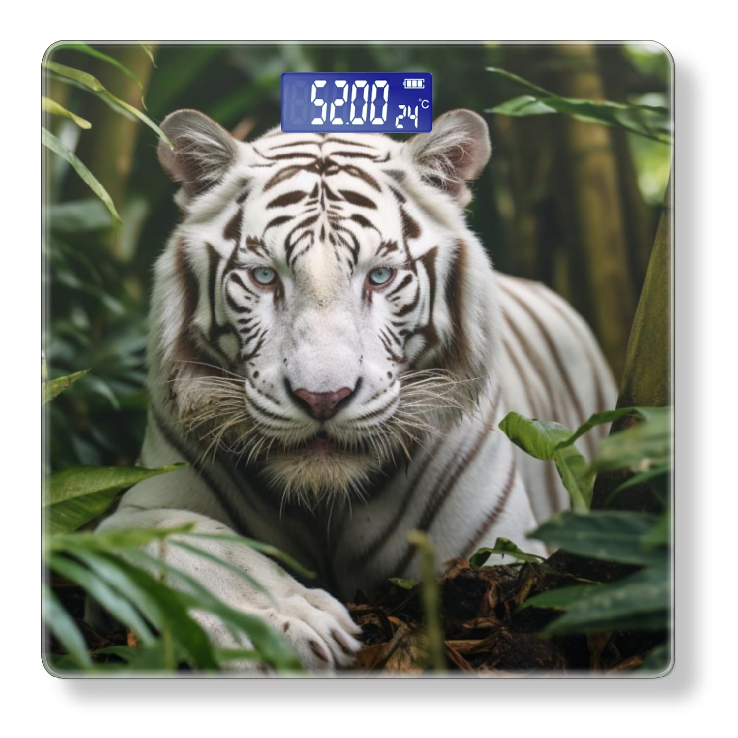 High Precision Body Weight Scale Smart Bathroom Scales with Large LCD ...