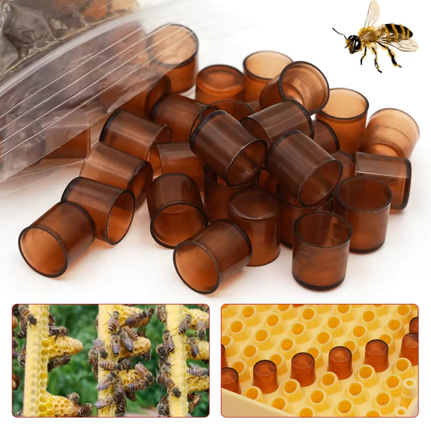High Quality 1000-3000 Pcs Royal Jelly Nesting Beekeeping Queen Bee Nicot Cell Cups Plastic ...