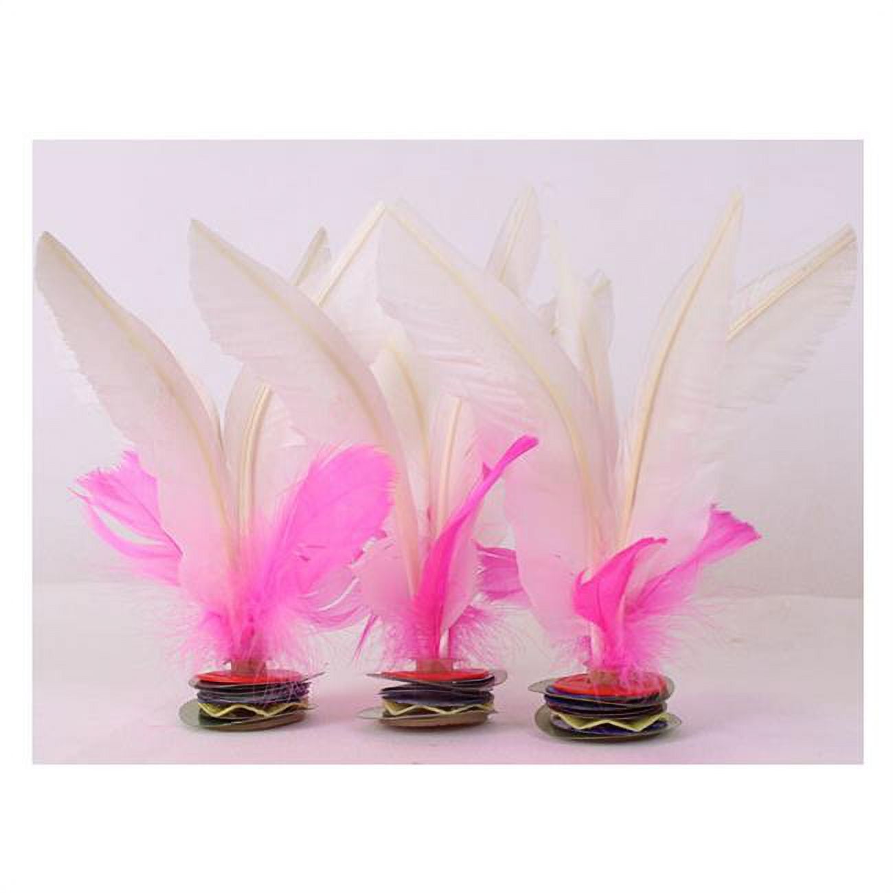 High Quality Outdoor Kick Shuttlecock Chinese Jianzi Sport, White - 10 ...