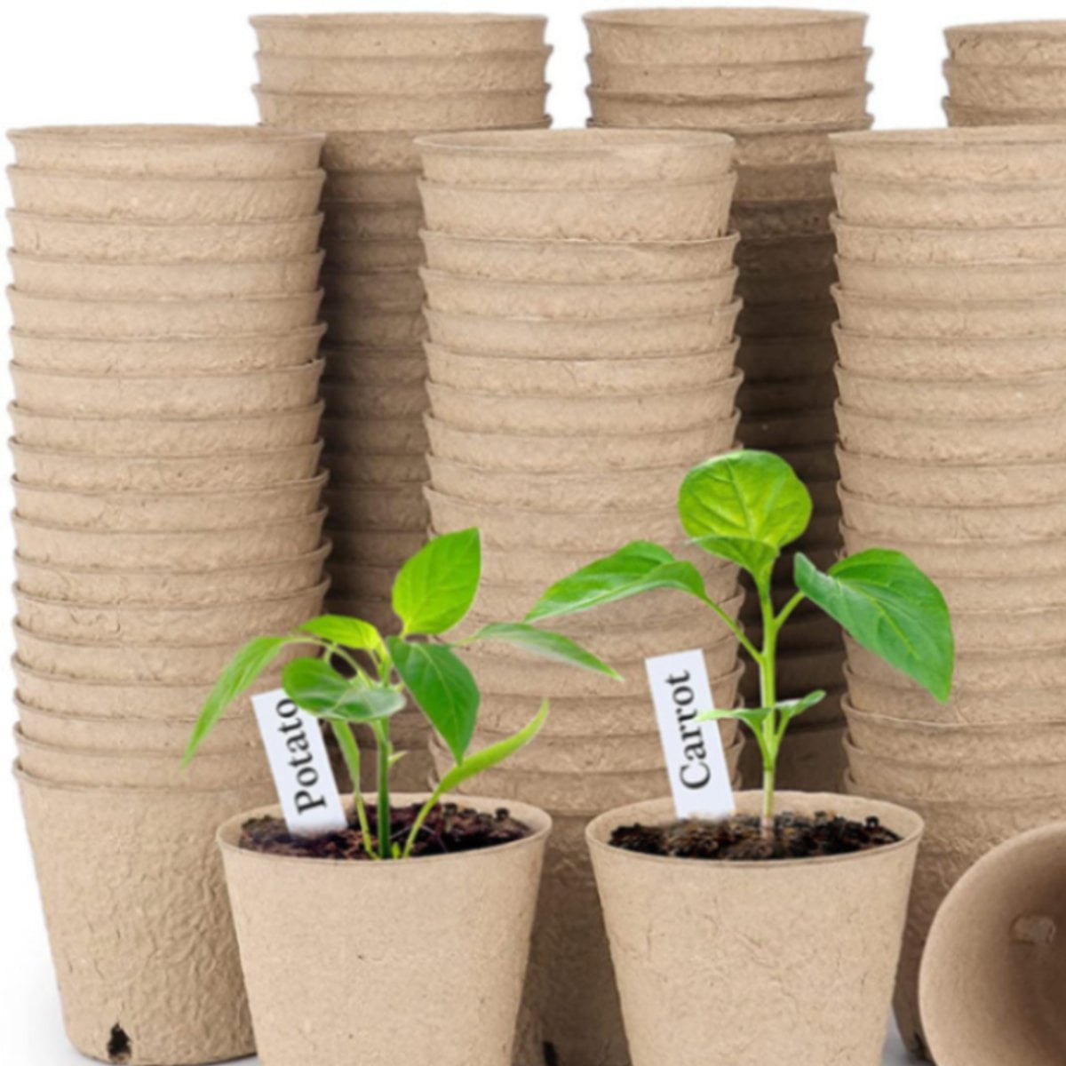 High-Quality Paper Pulp Seedling Cups with Holes - Plant Growth Peat ...