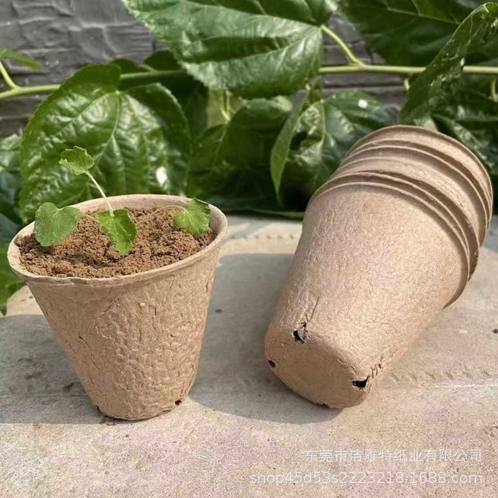 High-Quality Paper Pulp Seedling Cups with Holes - Plant Growth Peat ...