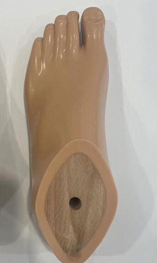 High Quality SACH Foot Prosthetic foot size12cm-30cm Beige Brown ...