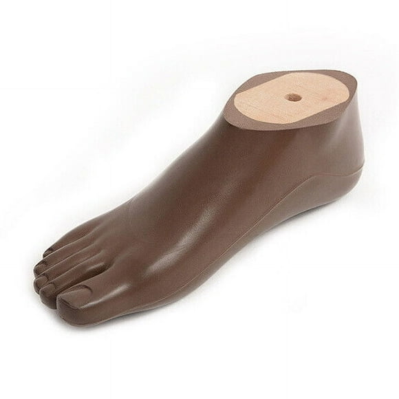 Foot Prosthesis