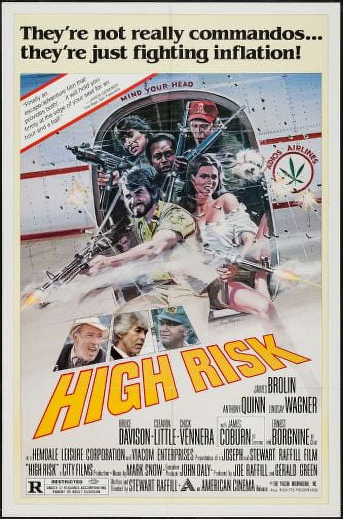 High Risk Movie poster 16x24 Poster Medium Art Poster 16x24 Unframed ...