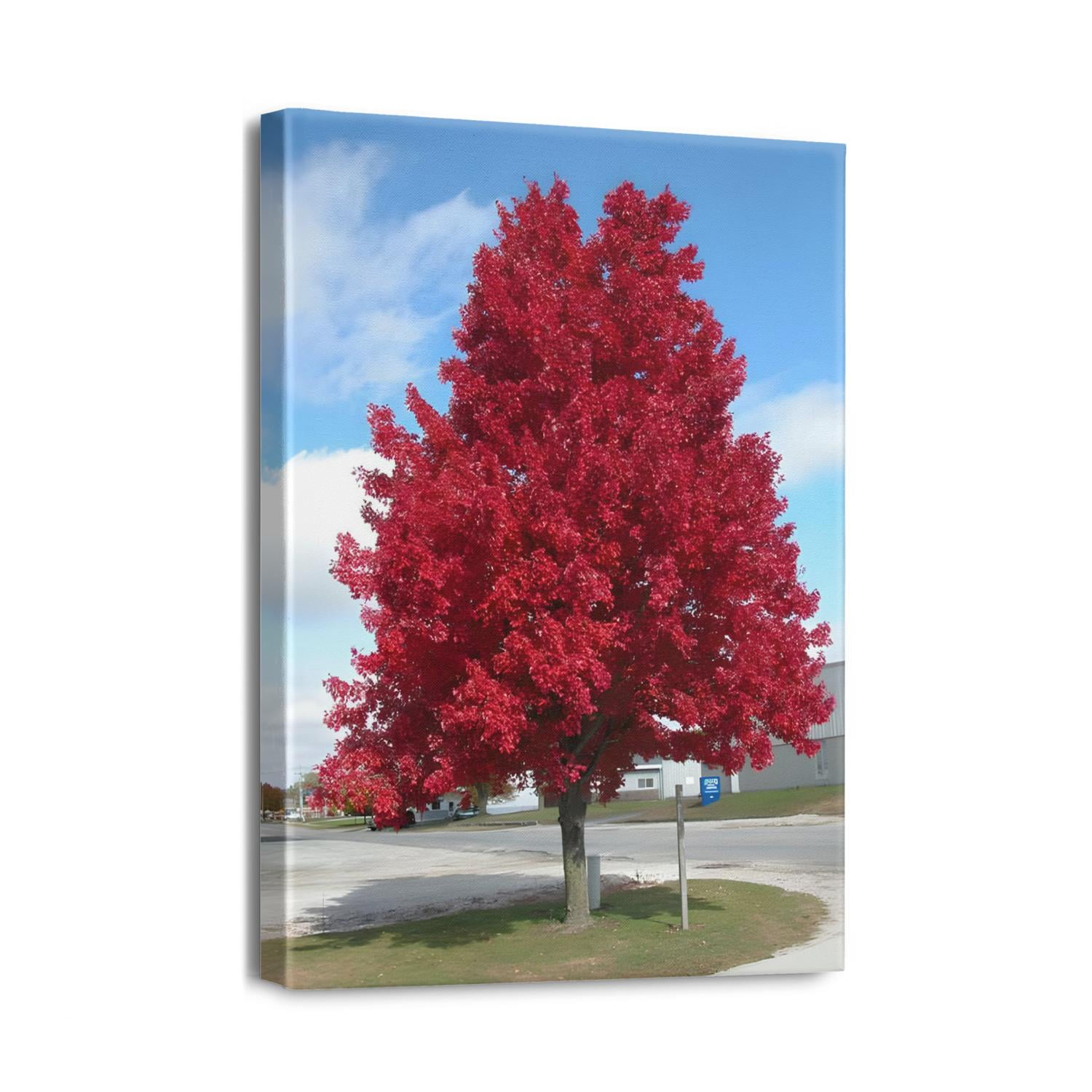 High Safety Unframed 12x16 Poster - Wall Mounting Drawing Prints ...