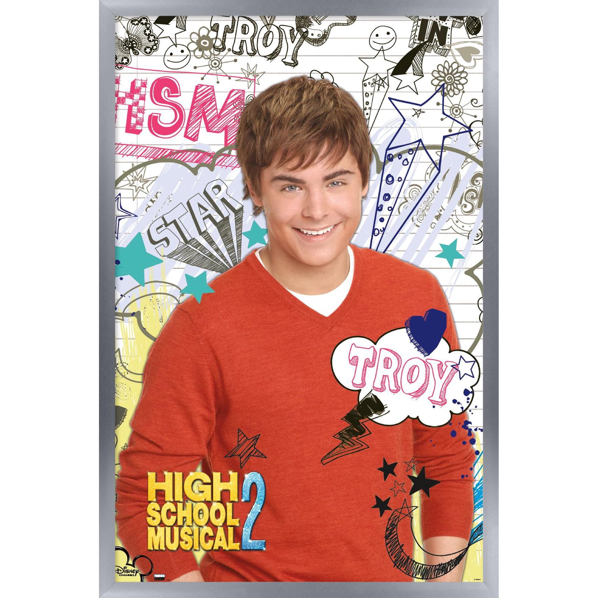 High School Musical 2 Troy