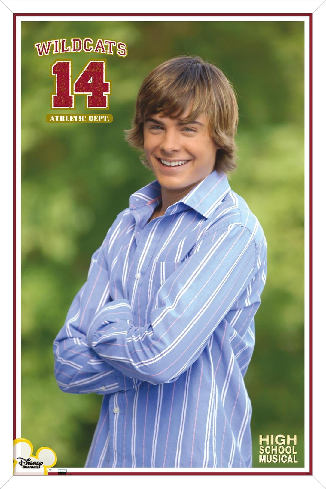 High School Musical - Troy Wall Poster, 14.725" x 22.375" Framed ...