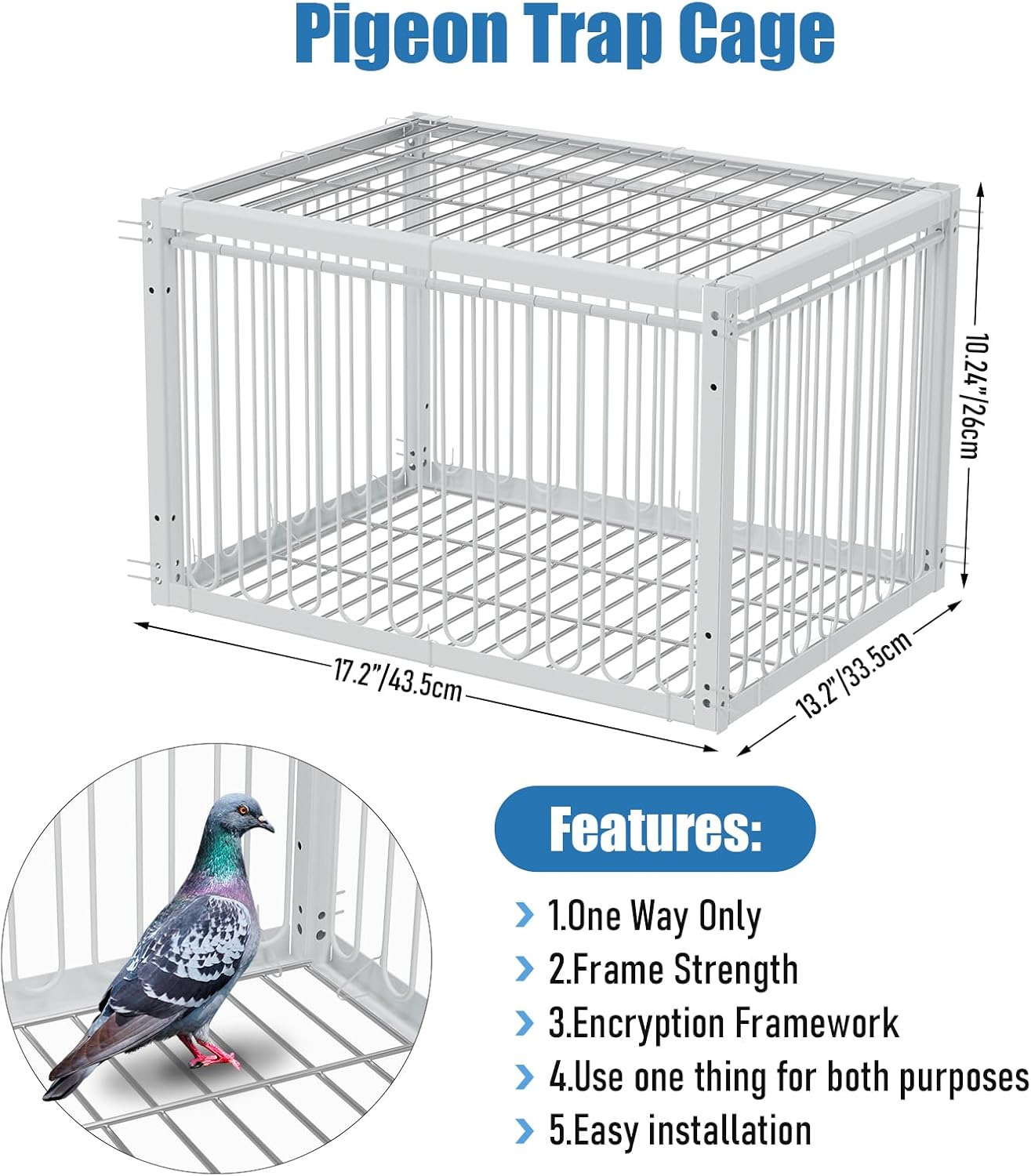 High-Strength Bird Trap Cage for Pigeons and Doves - Foldable & Humane ...