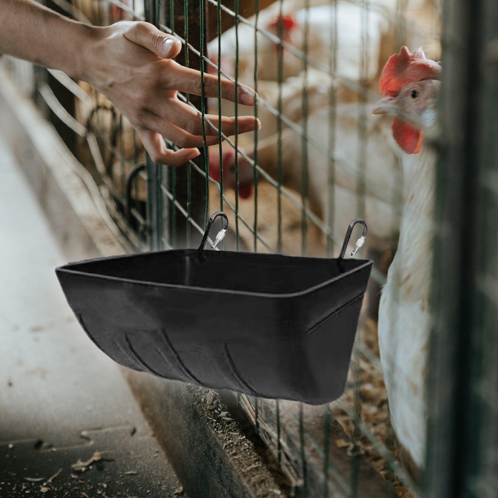High-quality Plastic Chicken Trough 1 Set Chicken Trough Feeder Hanging ...