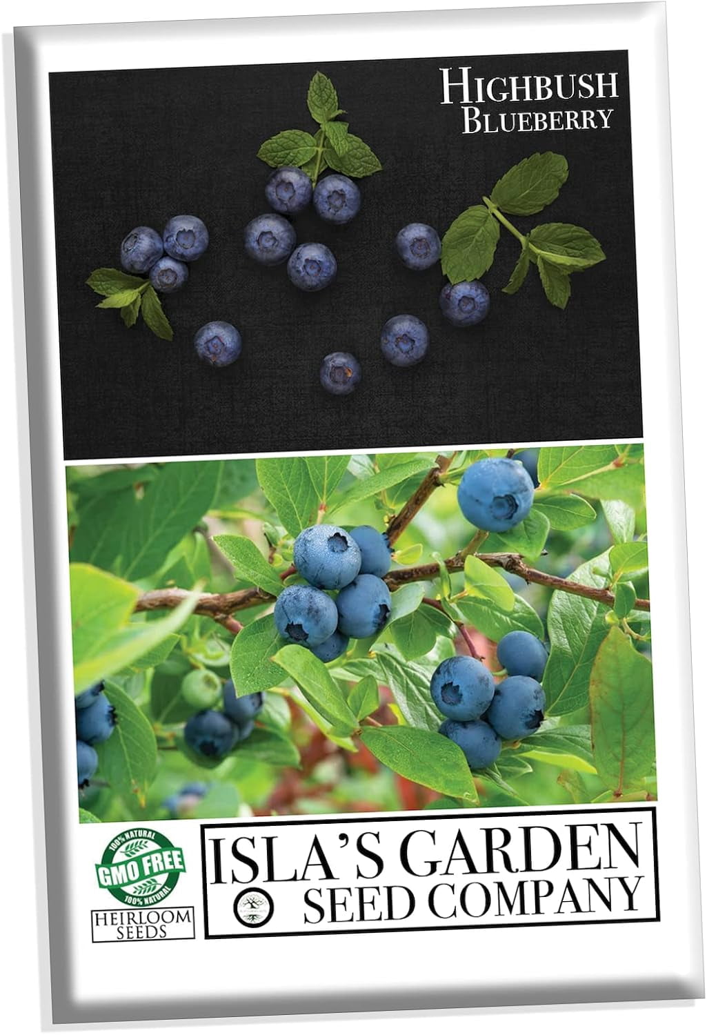 Highbush Blueberry Fruit/Shrub Seeds, 50 Seeds Per Packet Non GMO Seeds ...