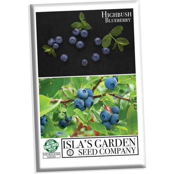 Blueberry Seeds in Seed Gardening - Walmart.com