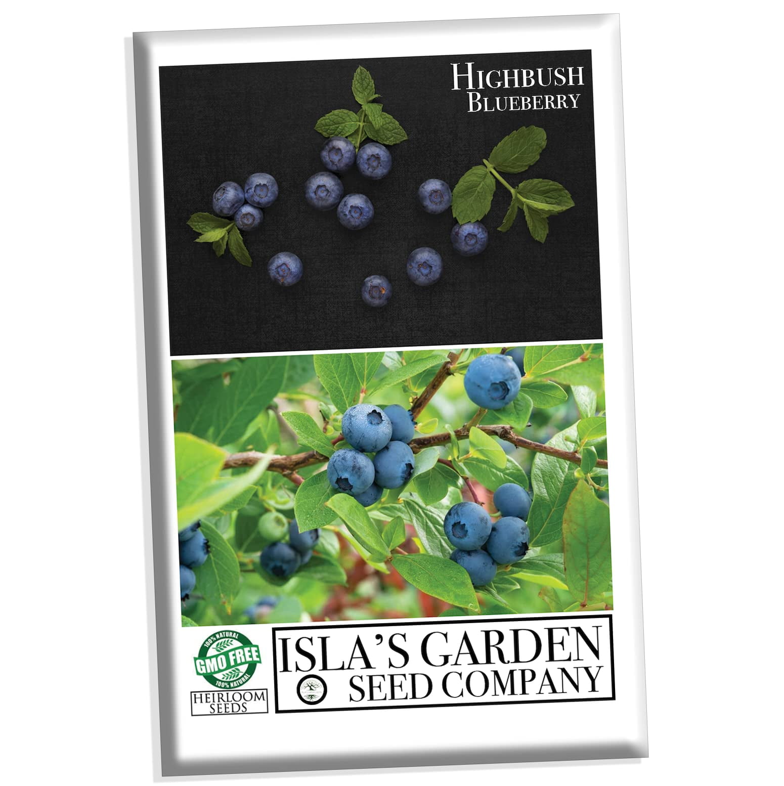 Highbush Blueberry Fruit/Shrub TWE5 Seeds, 300 Seeds Per Packet, (Isla ...