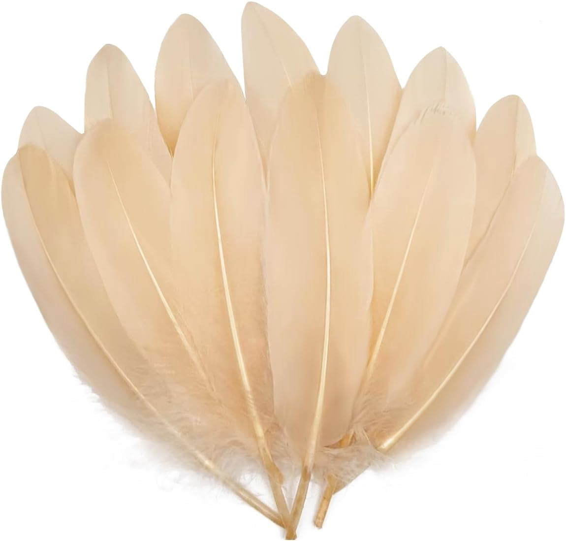 Jacket Feathers Inside