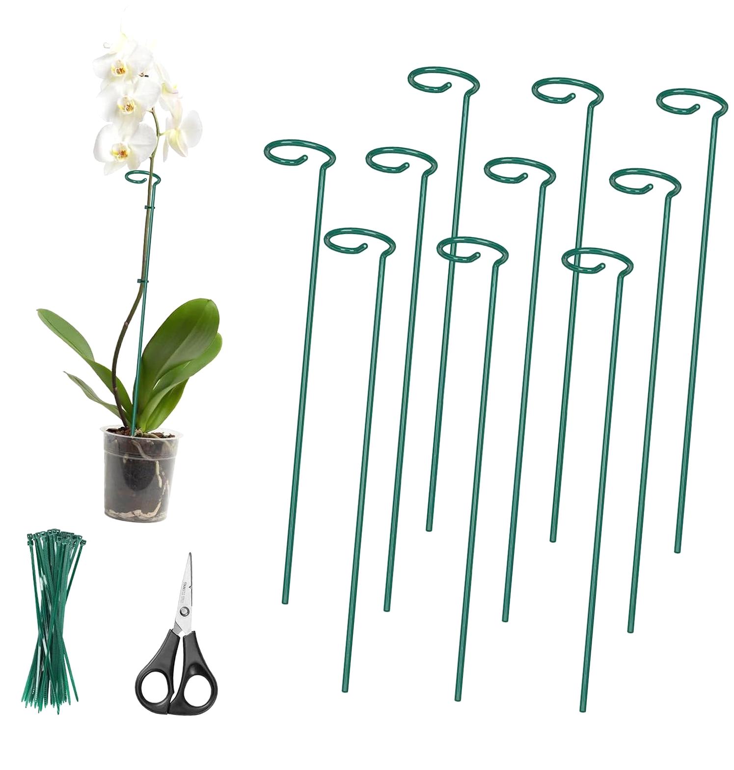 Highcool 16 Inch Plant Support Stakes - 10 Pack, 4.5mm Thick All Metal ...