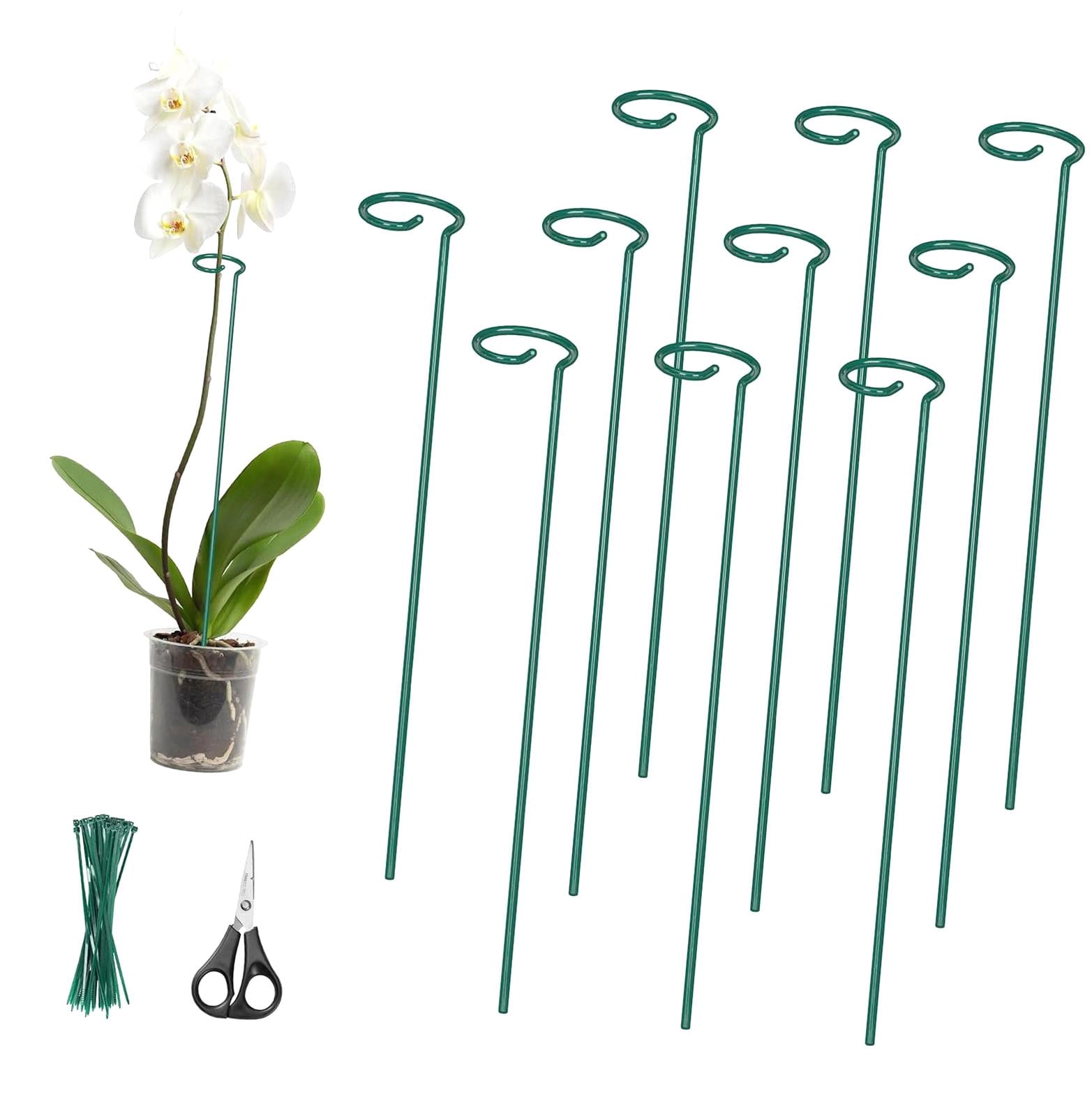 Highcool 24 Inch Plant Support Stake - 10 Pack, 4.5mm Thick All Metal ...