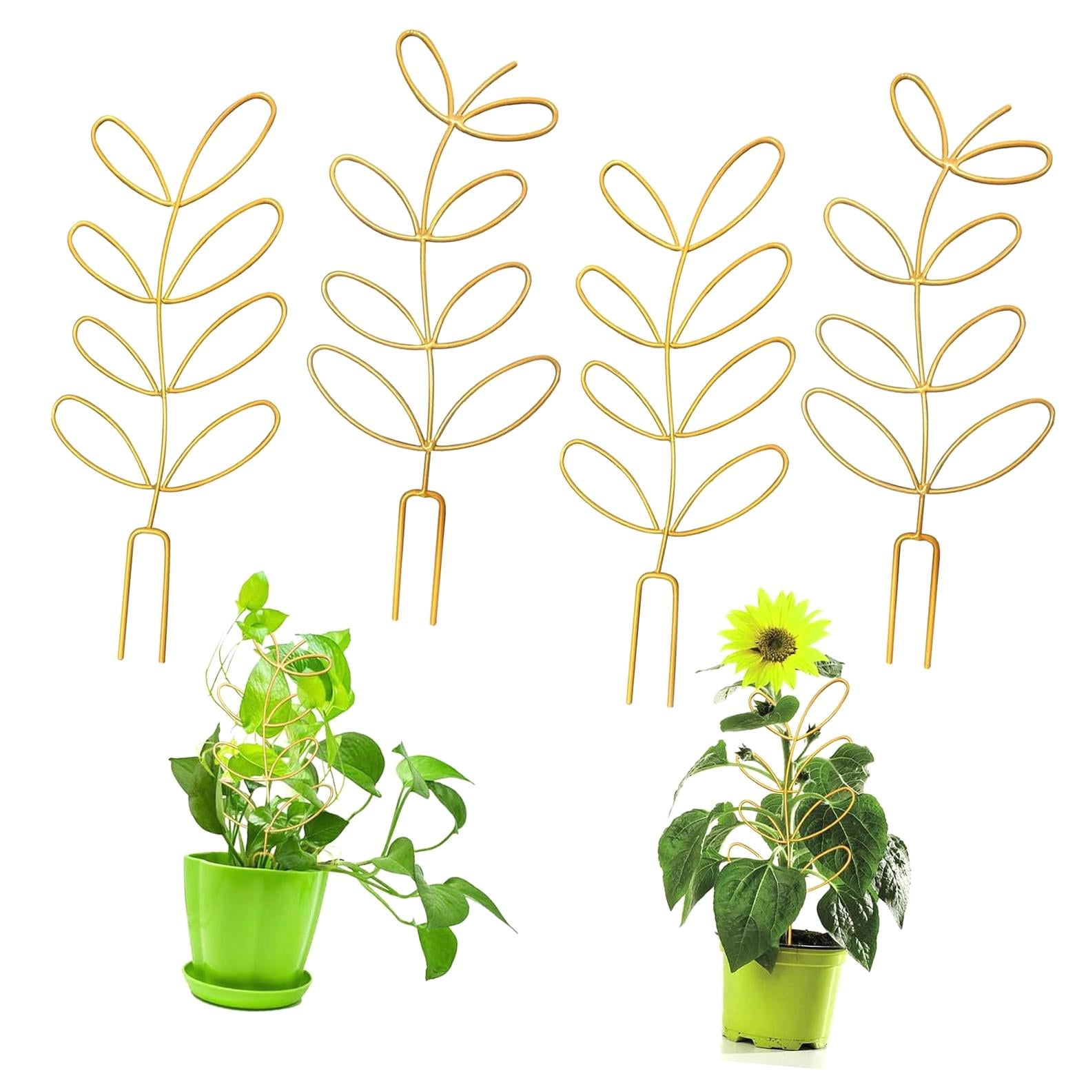 Highcool 4 Piece Mini Metal Trellis for Potted Plants, Indoor Climbing ...