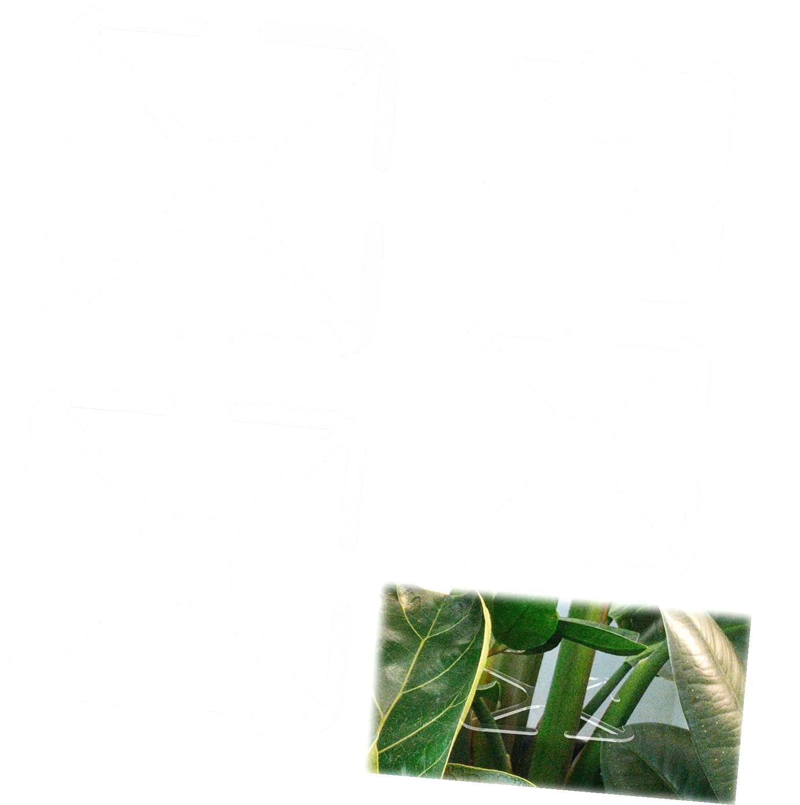 Highcool 4-Piece Plant Support Set, Acrylic Pothos Plant Climbers with ...