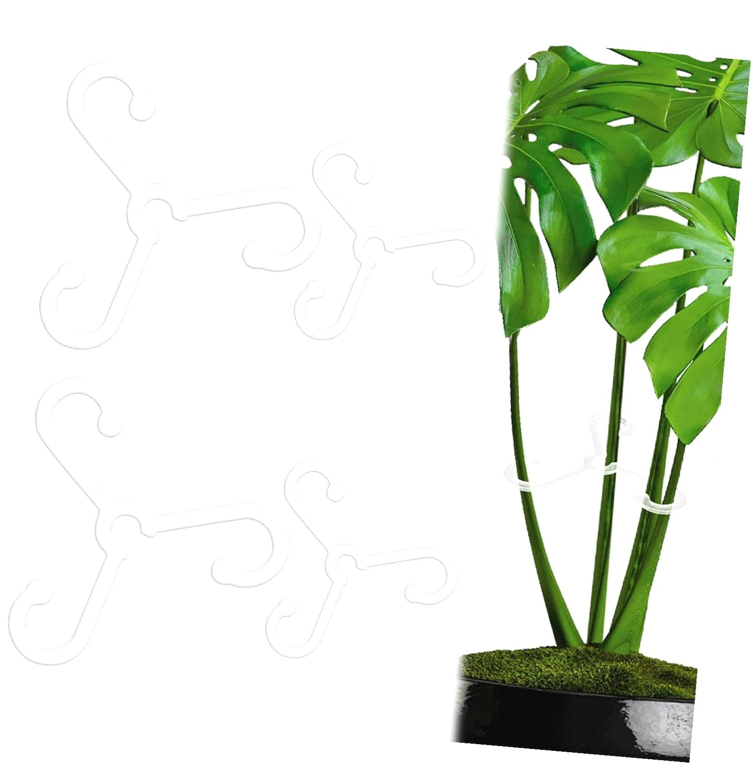 Highcool 4pcs Plant Supports, Acrylic Stabilizers for Houseplants, 2 ...