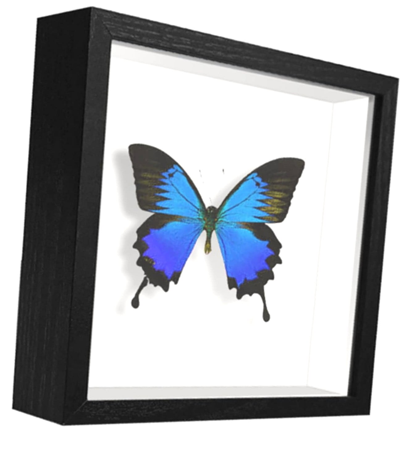 Highcool 5x5 Small Shadow Box Frame Display Case, Display Case Box for ...