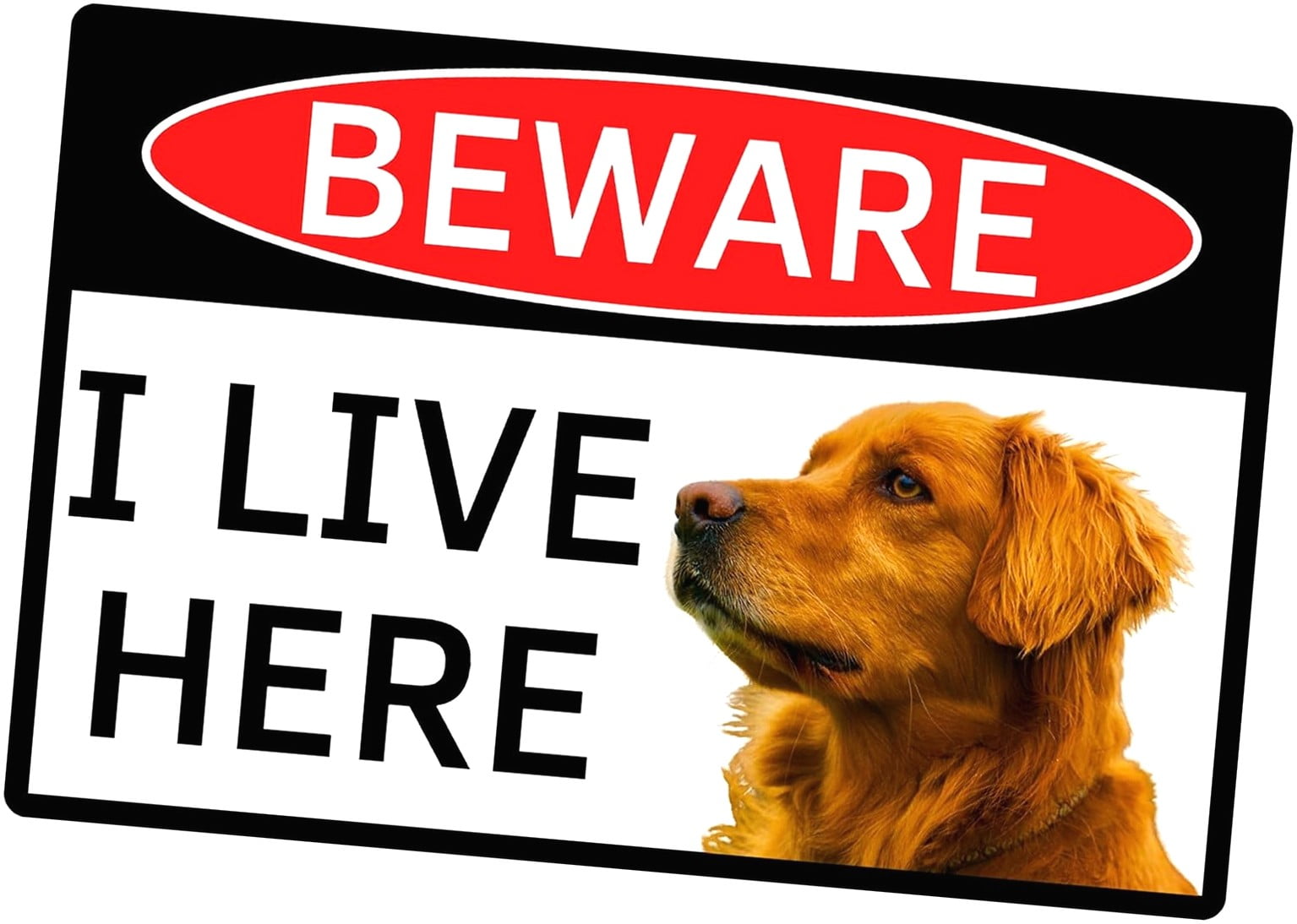Highcool Beware Live Here – Aluminum Sign, 8"x12" UV-Printed ...