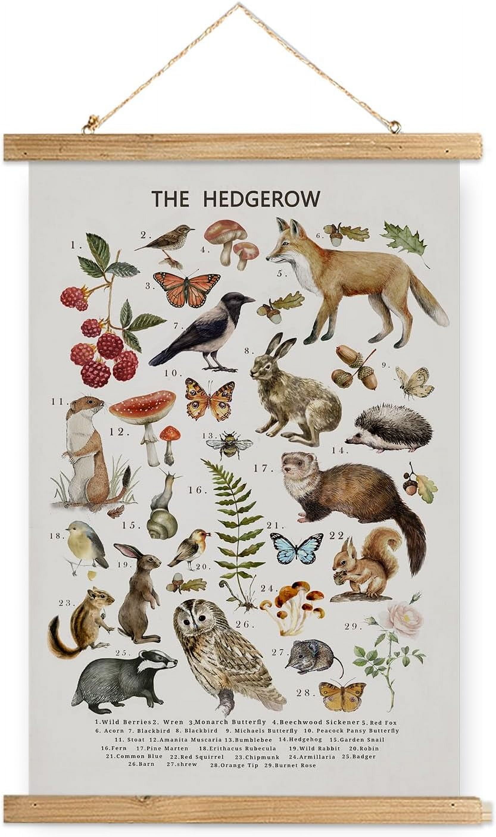 Highcool British Hedgerow Poster Illustrated Nature Chart with Wooden ...